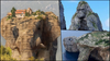 The Enchanting World of Animal-Shaped Rocks: A Journey Through Nature's ...