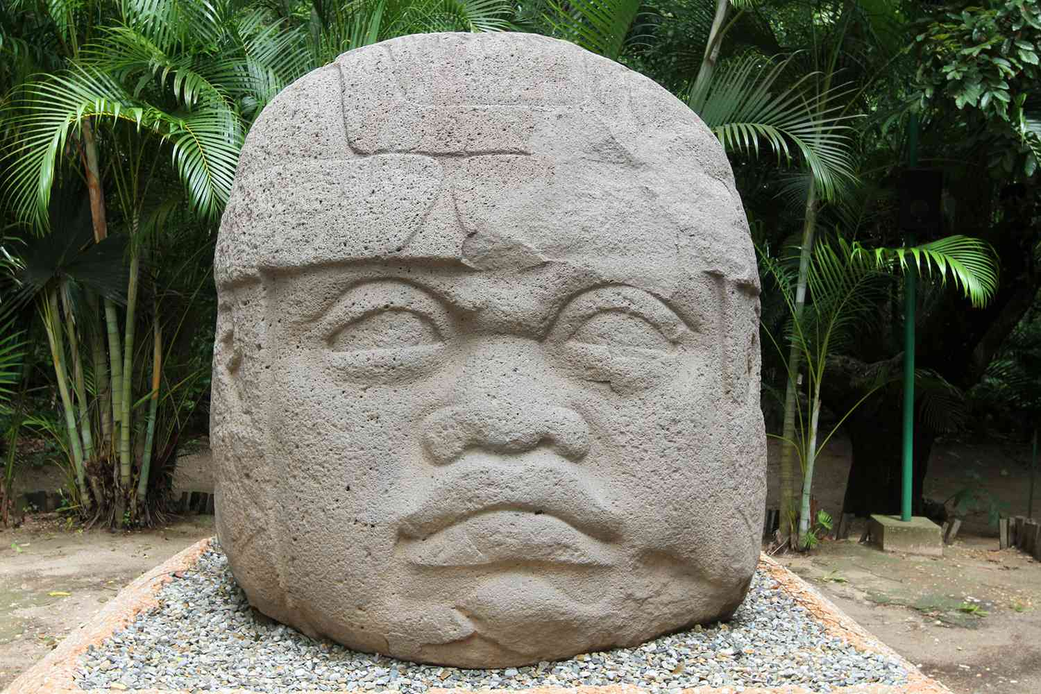The Olmec Colossal Heads: Who Were They?
