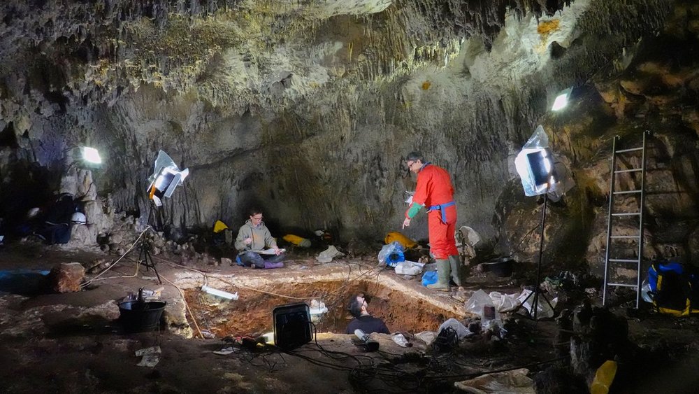 Cave dirt's DNA reveals how some Neanderthals vanished