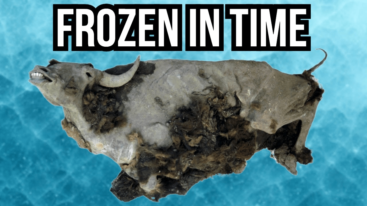 8 Prehistoric Animals That Have Been Found Trapped In Ice