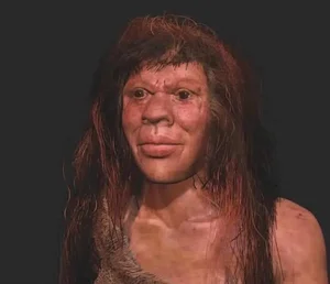 “Denny,” the Denisovan–Neanderthal Girl: why one small bone changed the ...