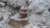 Rare Mayan god K'awiil statue found along Maya Train route
