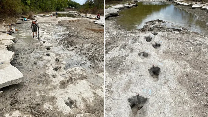Dinosaur tracks unearthed in Texas state park as drought dries river