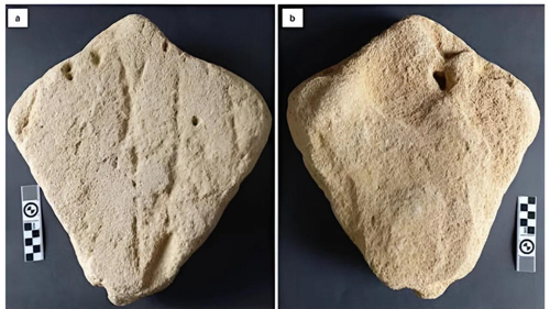 130,000-Year-Old Stingray Sand Sculpture Unveiled on South Africa’s ...