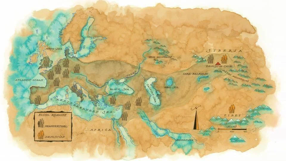 Rewriting History: Princeton Researchers Reveal The Close Relationship ...