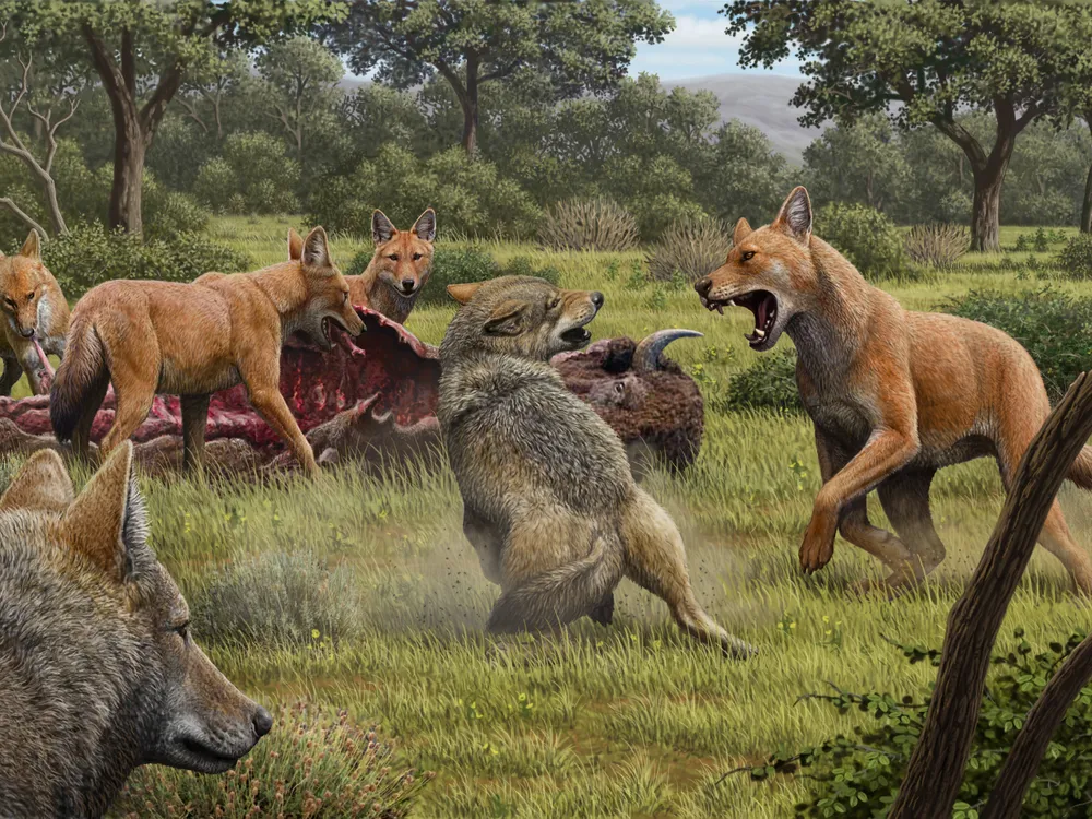 The First Animal Domestication: How Wolves Became Dogs