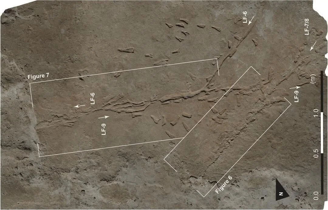 Ancient Wheels Without Wheels: Travois Tracks at White Sands Rewriting ...