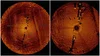 9,000-Year-Old Stonehenge-Like Structure Found Under Lake Michigan
