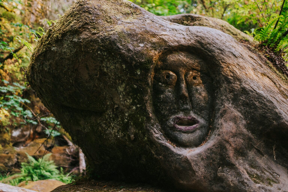 This Ancient Argentine Lineage Survived 8,000 Years Without Mixing With ...