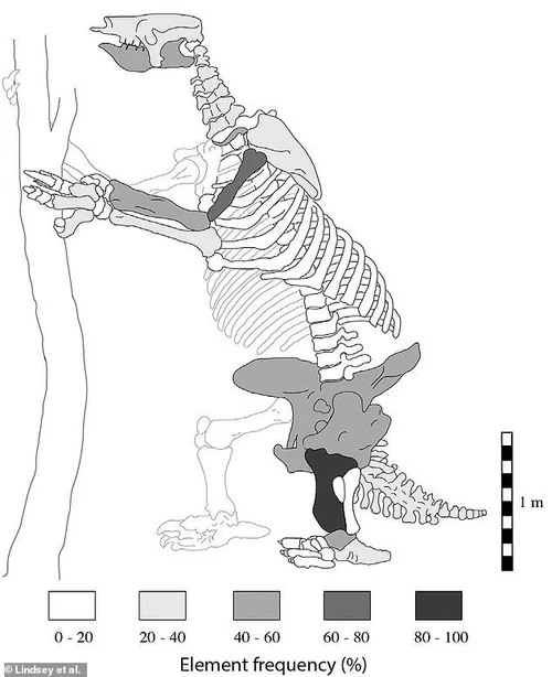Ice Age Graveyard Discovered Containing 22 Giant Sloths Preserved In ...