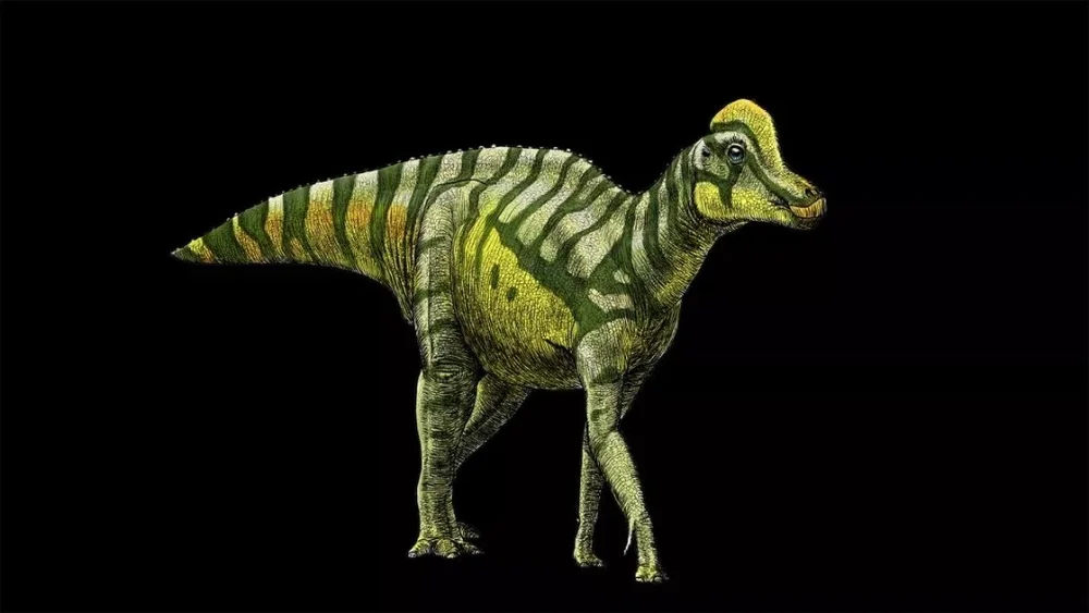 Dinosaur fossils from 76 million years ago with intact skin in Canada