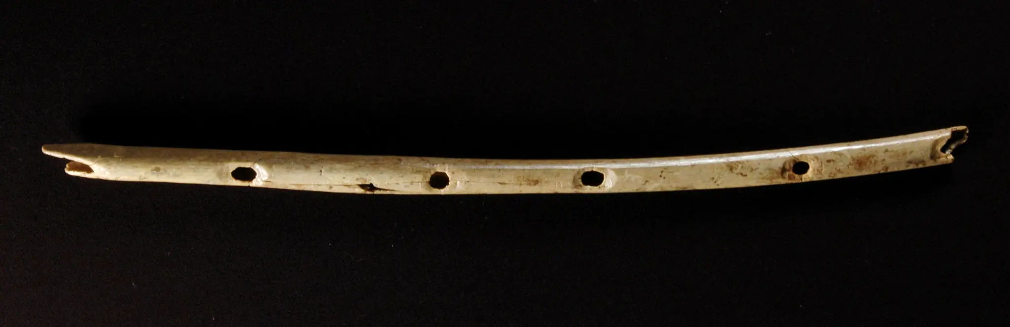 The Oldest Known Musical Instruments