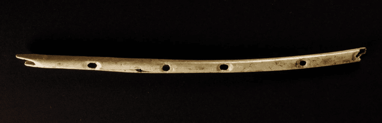 The Oldest Known Musical Instruments