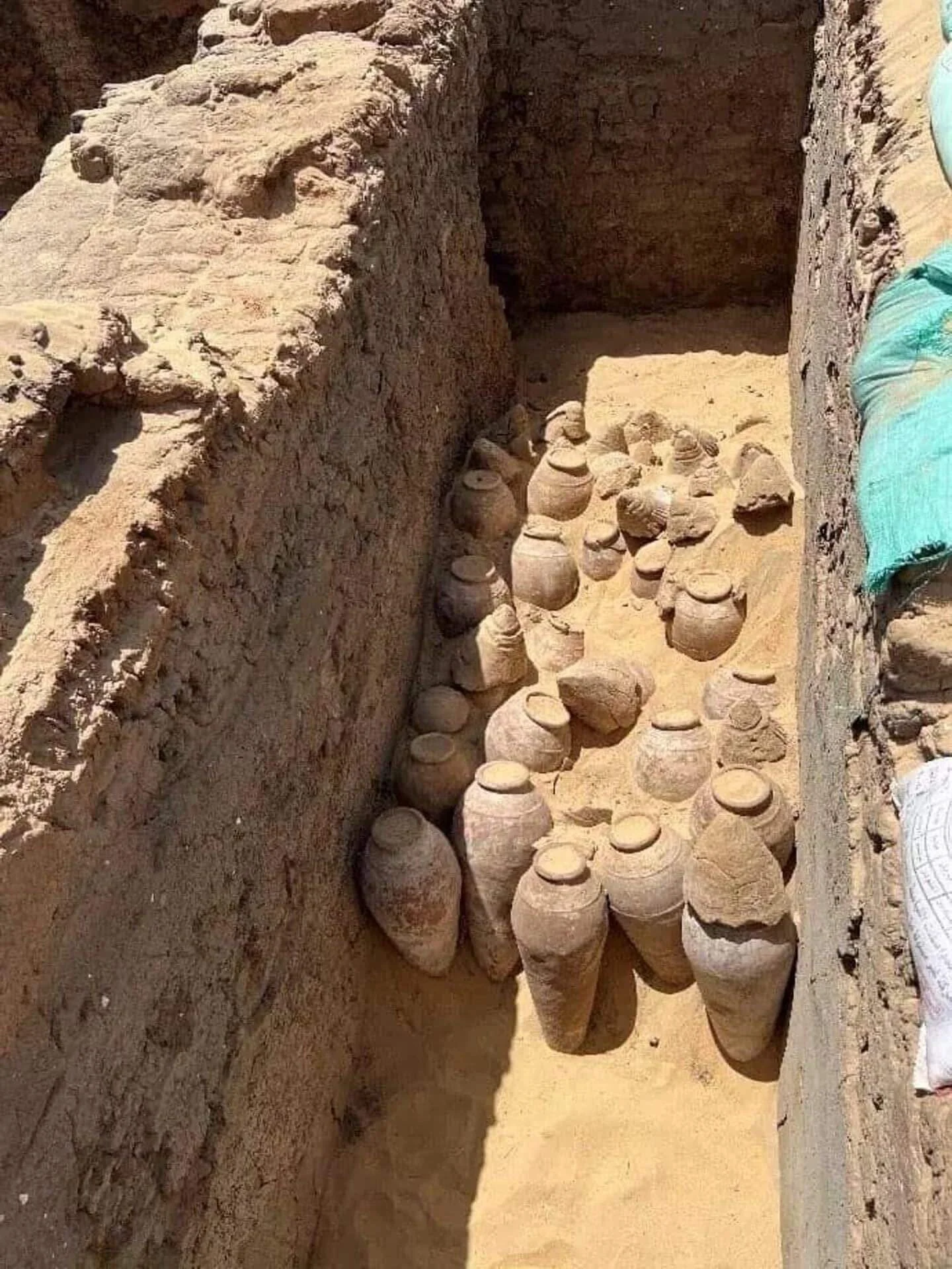 Abydos: 5,000-Year-Old Wine and Clues to a Mysterious Queen's Reign ...