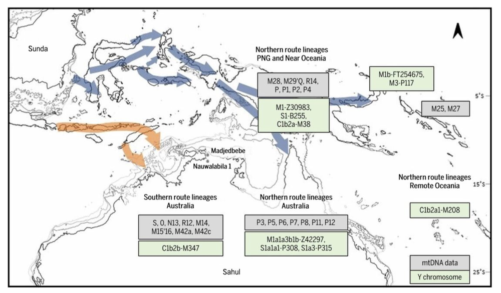 DNA Analysis Reveals Two Routes Ancient Humans Used to Reach Australia