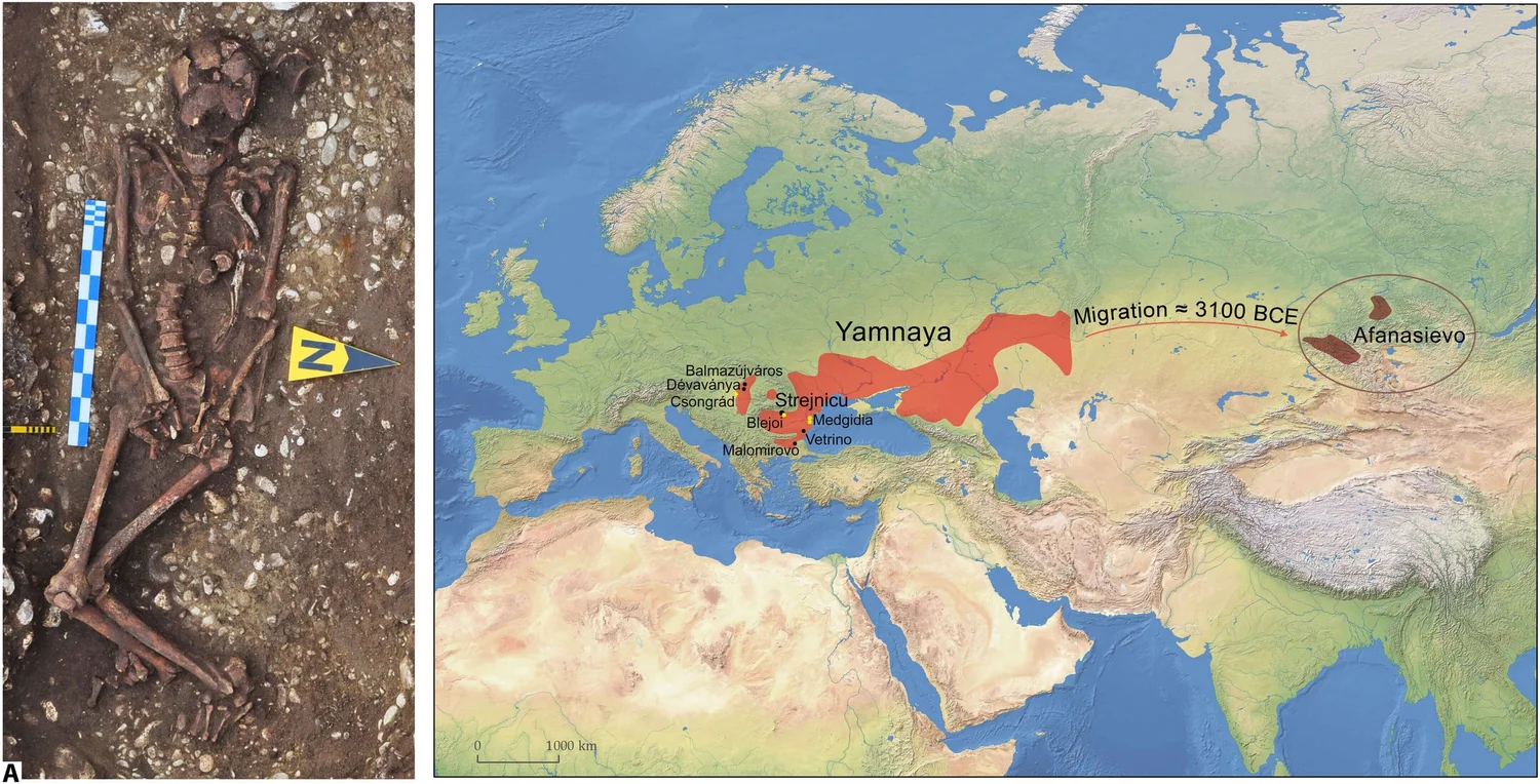 Revisiting the Roots of Horsemanship: A Critical Analysis of Early ...