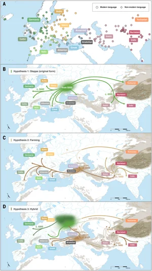 Emergence of Indo-European Languages around 8000 years ago