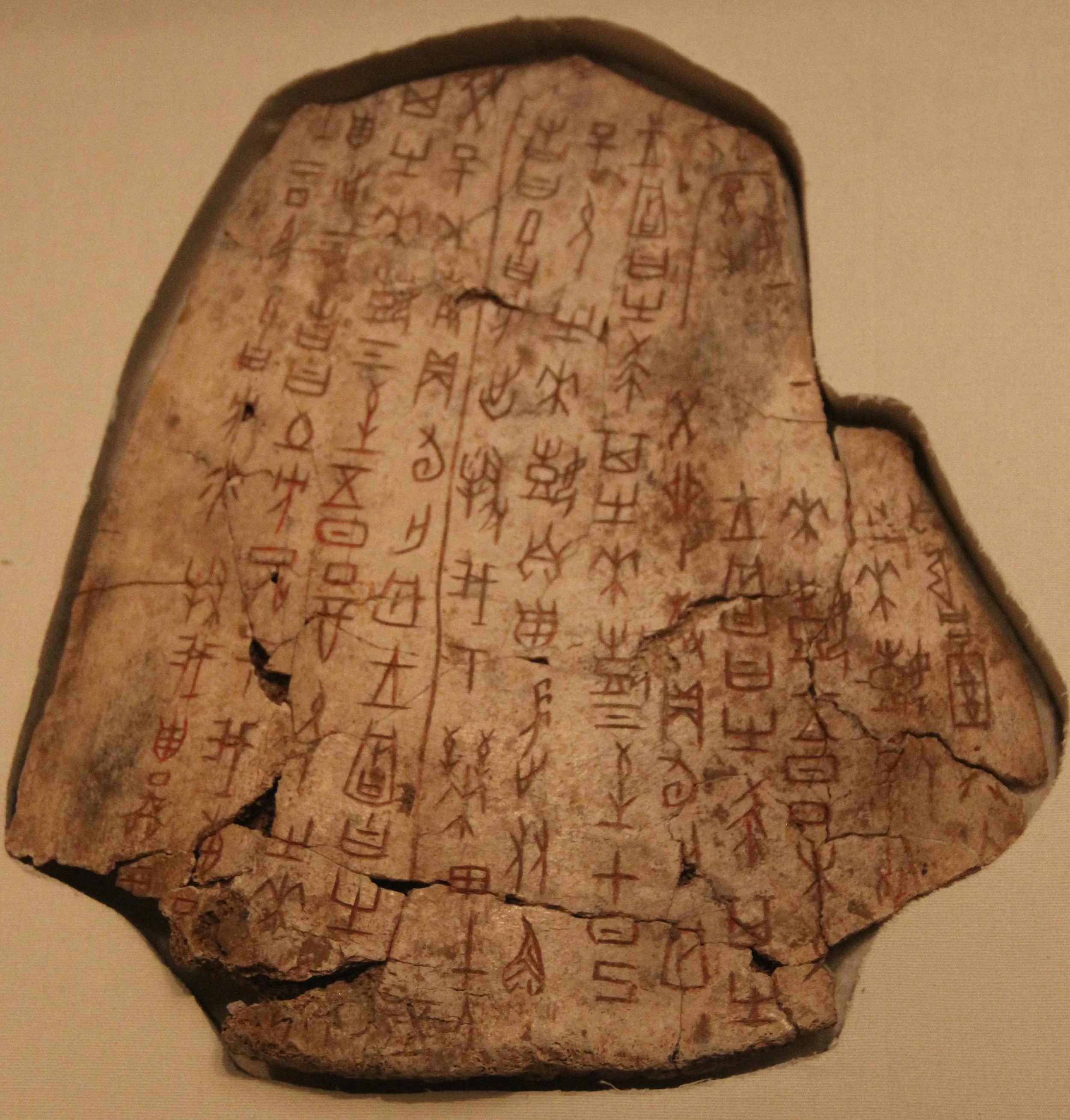 The History of Chinese Oracle Bones