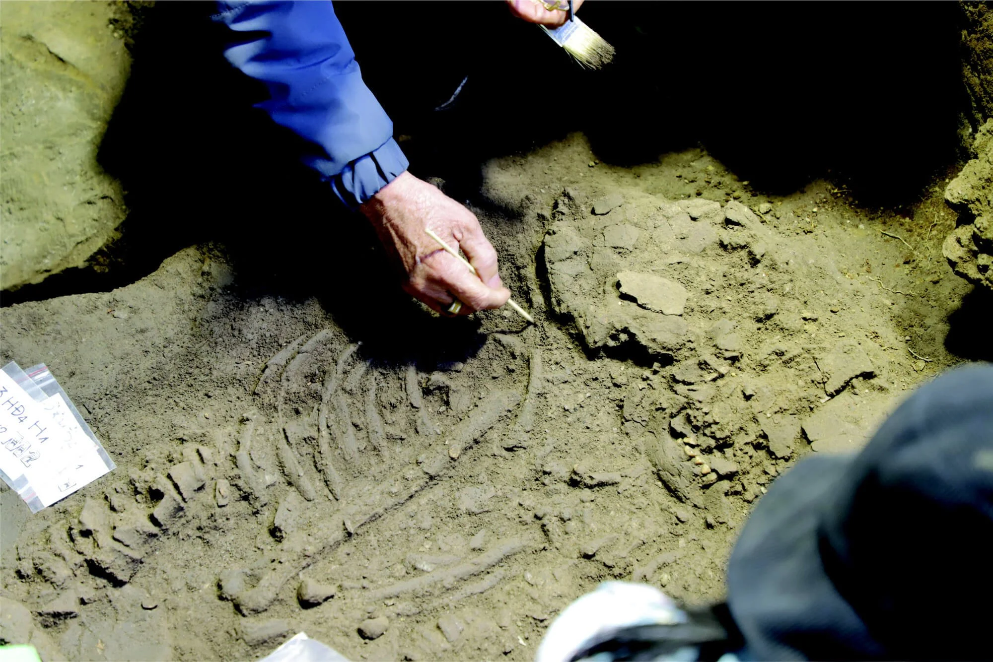 Remarkable Discovery of 10,000-Year-Old Human Remains in Northern Vietnam