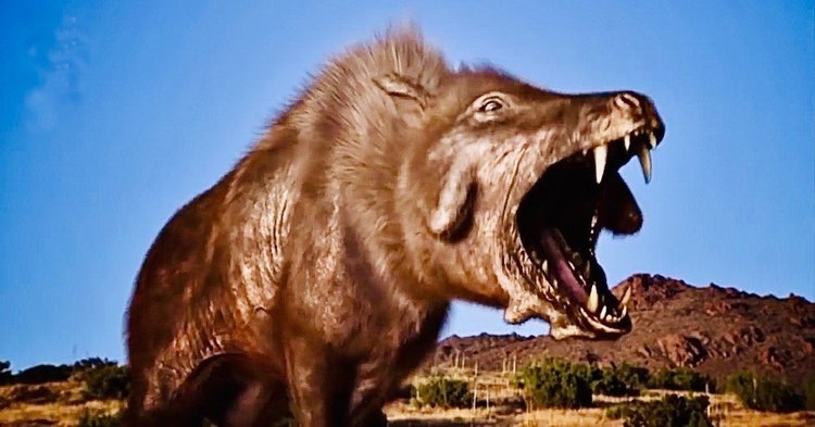 Discover the Hell Pig, one of the most hideous and vicious animals ever ...
