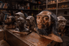 Denisova Cave: Hybrid Human Fossils Rewrite Evolution