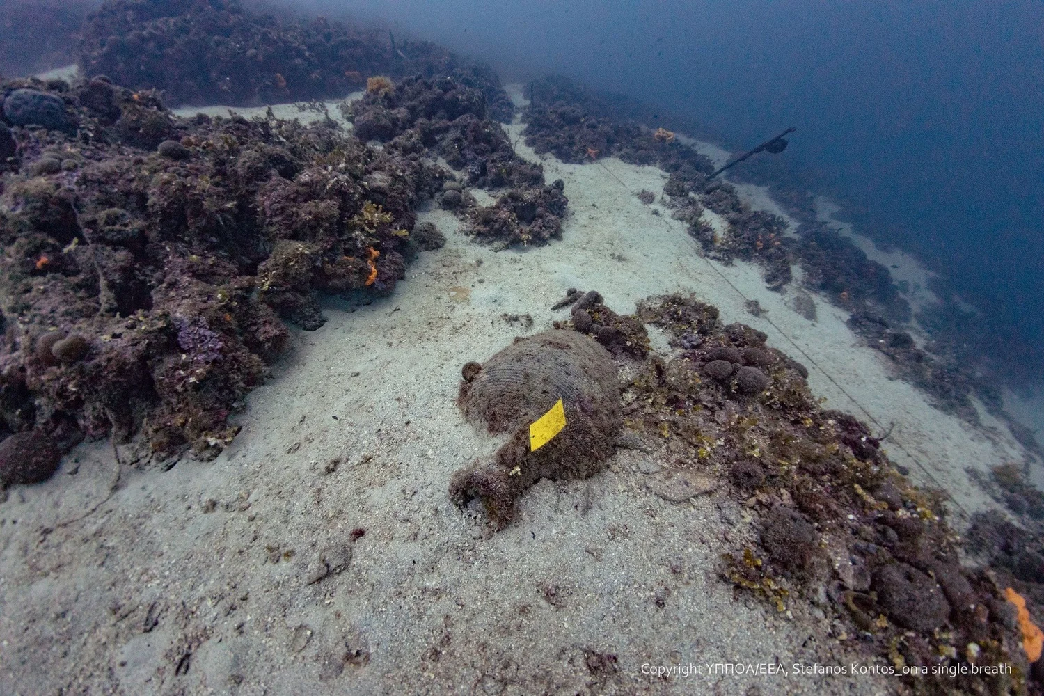 Greece opens to Public Three Underwater Archaeological Shipwreck Sites