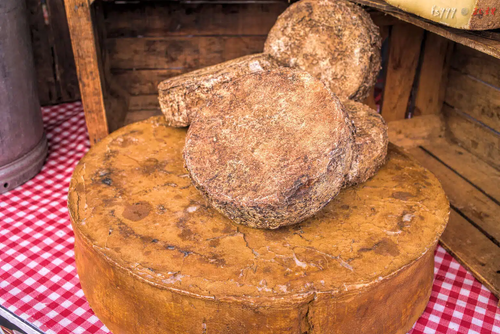 World’s Oldest Cheese Discovered on 3,600-Year-Old Mummies