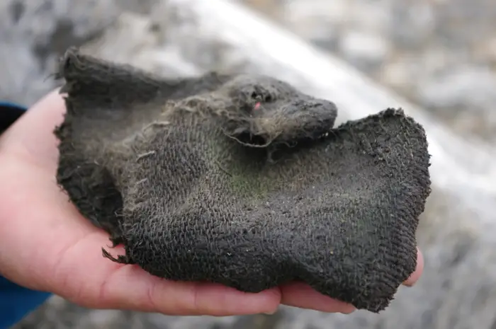 Ancient Artifacts Emerge from Norway’s Melting Glaciers