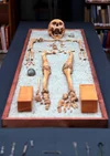 An ancient Roman physician traveled mysteriously to Hungary. Photos ...