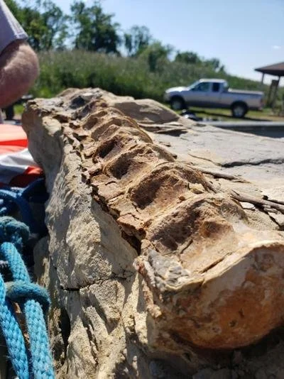 Fisherman in Omaha finds a 90 million-year-old fossil