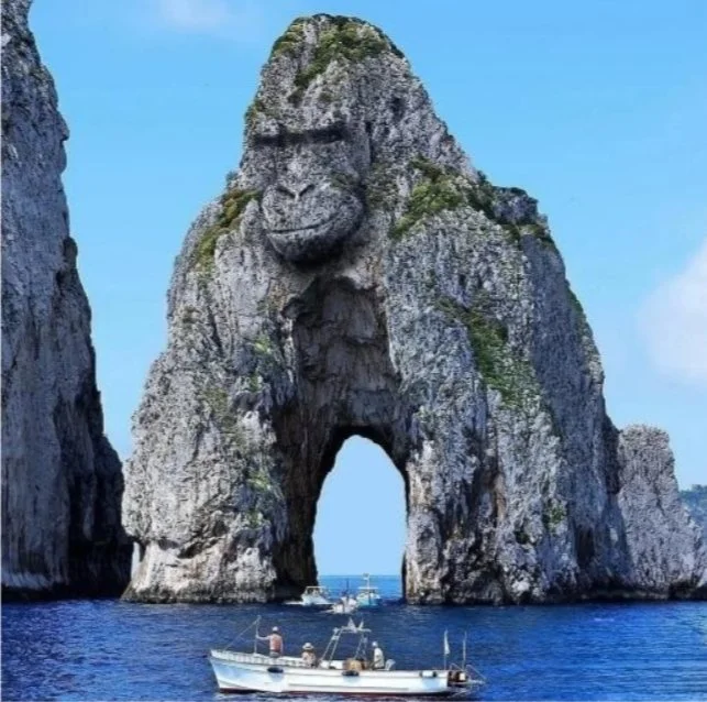 The Enchanting World of Animal-Shaped Rocks: A Journey Through Nature's ...