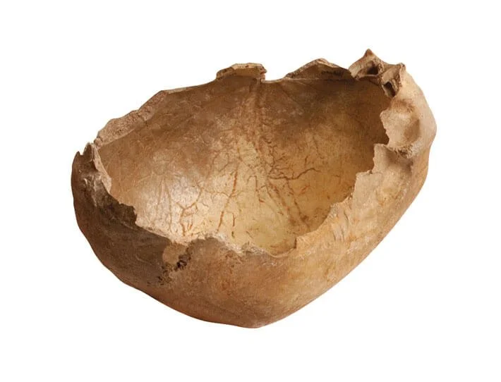 Unveiling Ancient Rituals: Ice Age Cannibalism?