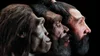 How Europeans' white skin changed over time: According to a study, pale ...