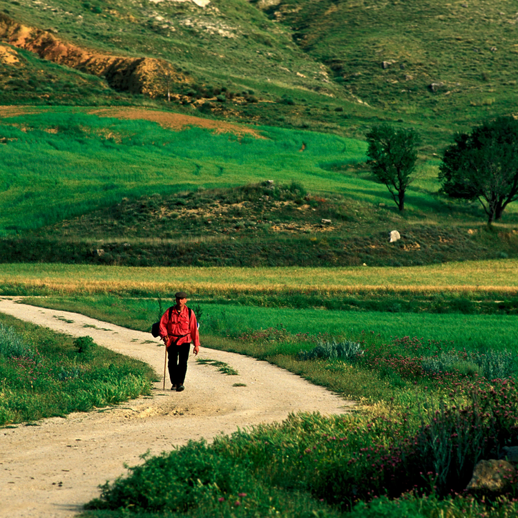 Ritual Pathways Leading to Sacred Sites