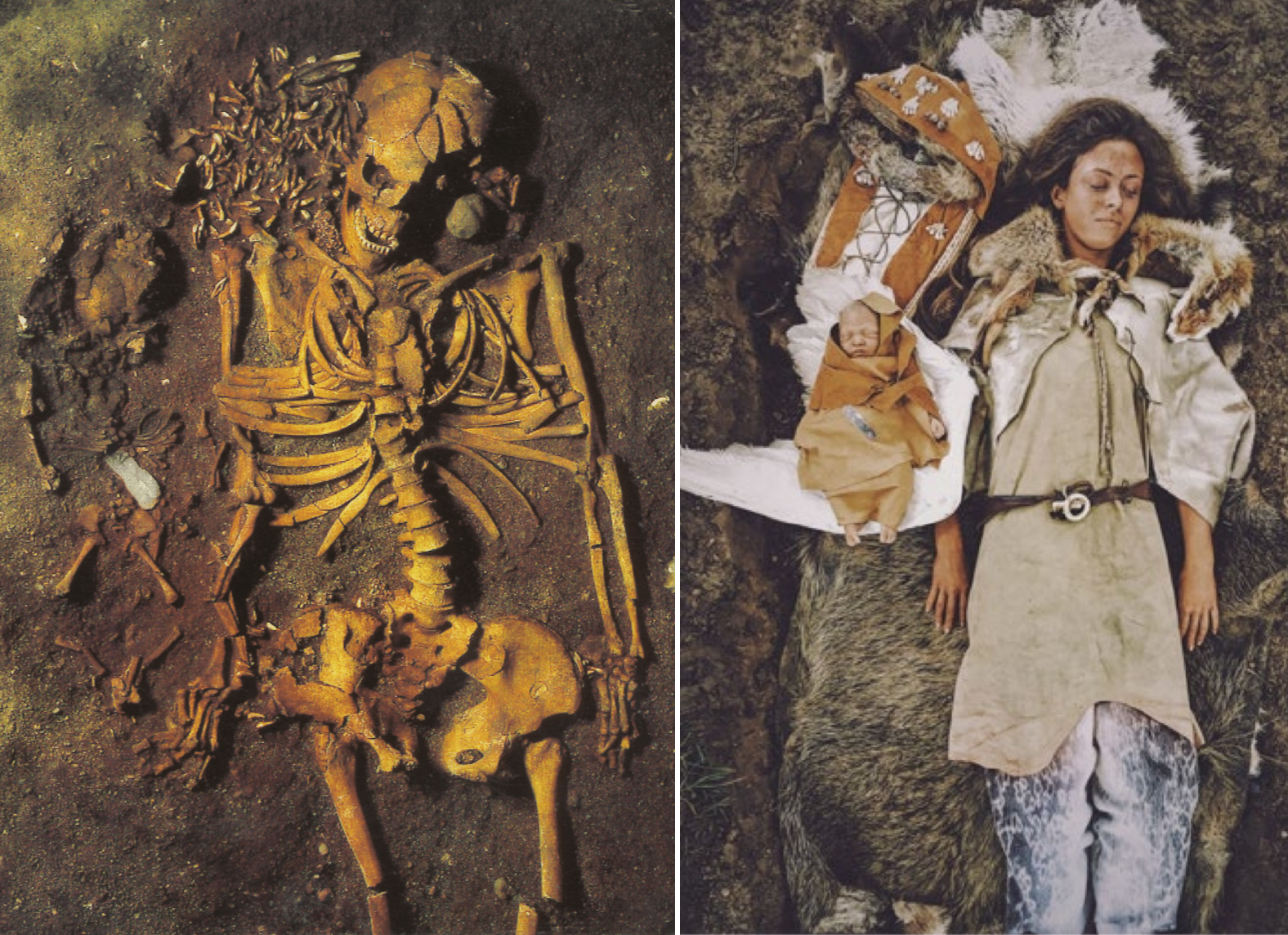 Ancient Burial Site in Vedbaek, Denmark: A 7,000-Year-Old Tale of ...