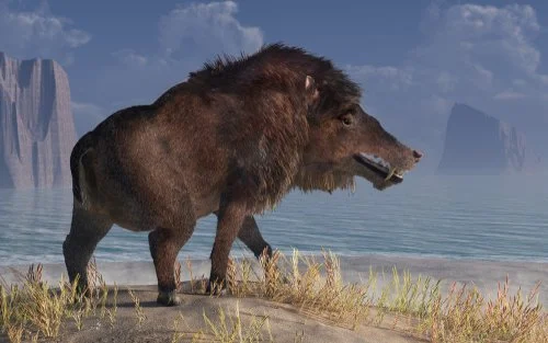 Discover the Hell Pig, one of the most hideous and vicious animals ever ...