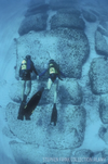 Bimini Road: Bahamas' Atlantis-Linked Underwater Stones