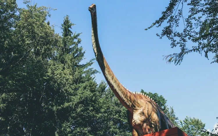 World's Biggest Dinosaur Arrives in UK Museum: 115-Feet-Long Titanosaur ...