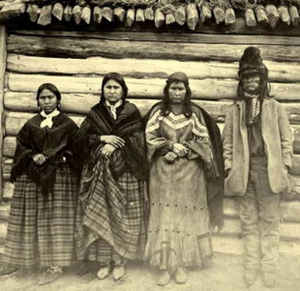70 Ancient Indigenous Settlements Discovered, Dating Back 4,000 Years ...