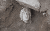 Marble Head of Apollo statue crowned with laurels unearthed