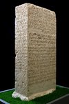 The Enigmatic Language of the Etruscans: Non-Indo-European?