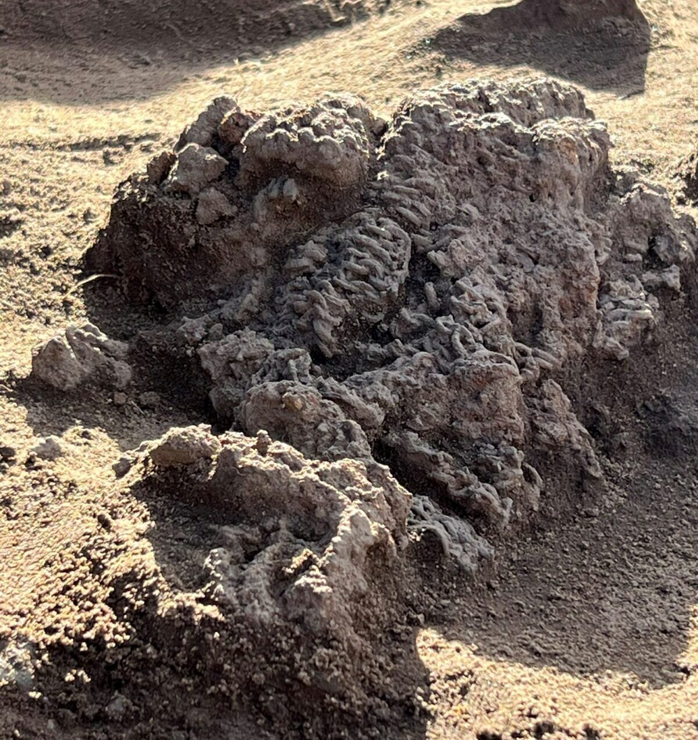 Rare 4th-Century Roman Helmet and Chainmail Unearthed in Denmark