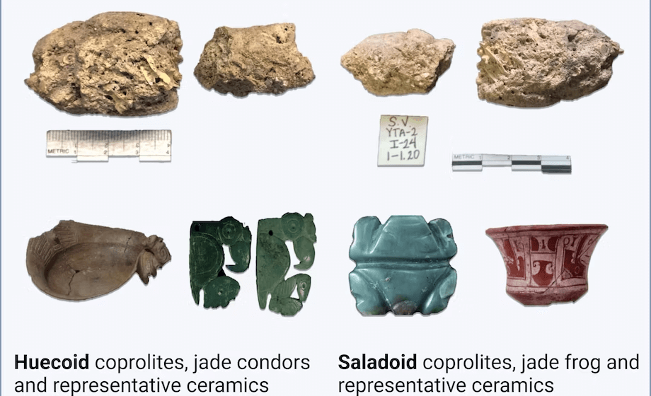 Ancient Clues in Fossilized Feces: A Glimpse into the Diets of Pre ...