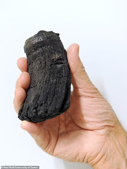 Archaeologists from the University of Zurich unearth 205-million-year ...