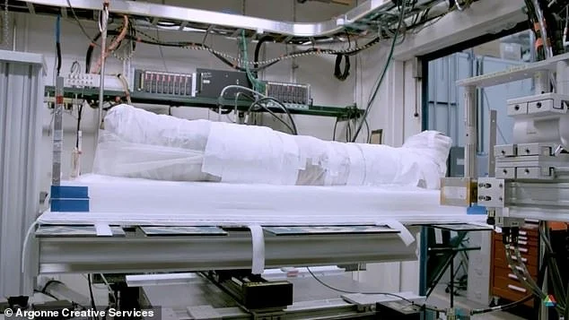Powerful X-rays used for first time to 'see' through wrapping of 1,900 ...