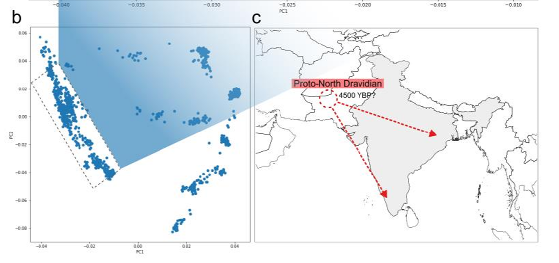 The Enigmatic Origins of the Dravidian Languages: New Study Traces a ...