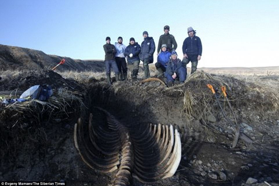 The headless skeleton of a 20 ft long sea monster that went extinct in ...
