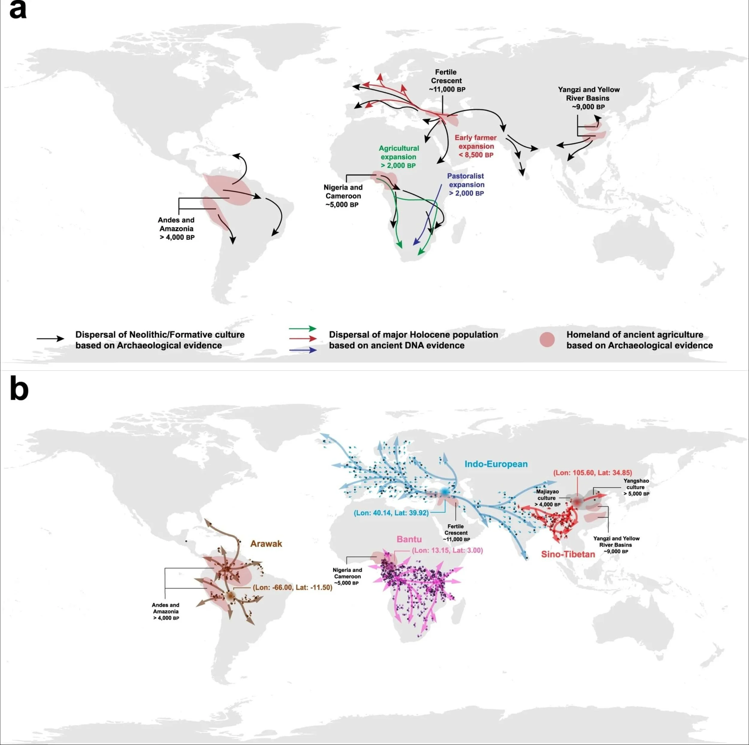 New Study Traces Linguistic Paths: How Language Dispersal Echoes ...