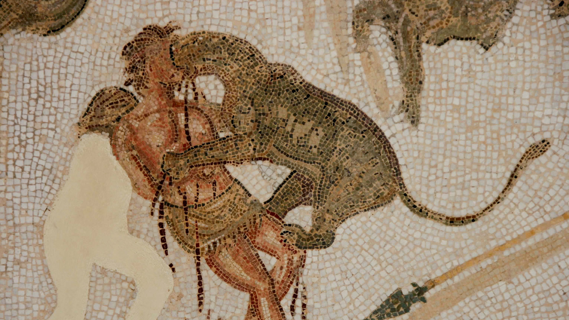 What Lion Bite Marks Revealed About Roman-Era Gladiators