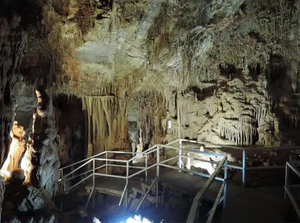 Human Origins Reconsidered: A Skull Found in Greece Challenges the Out ...